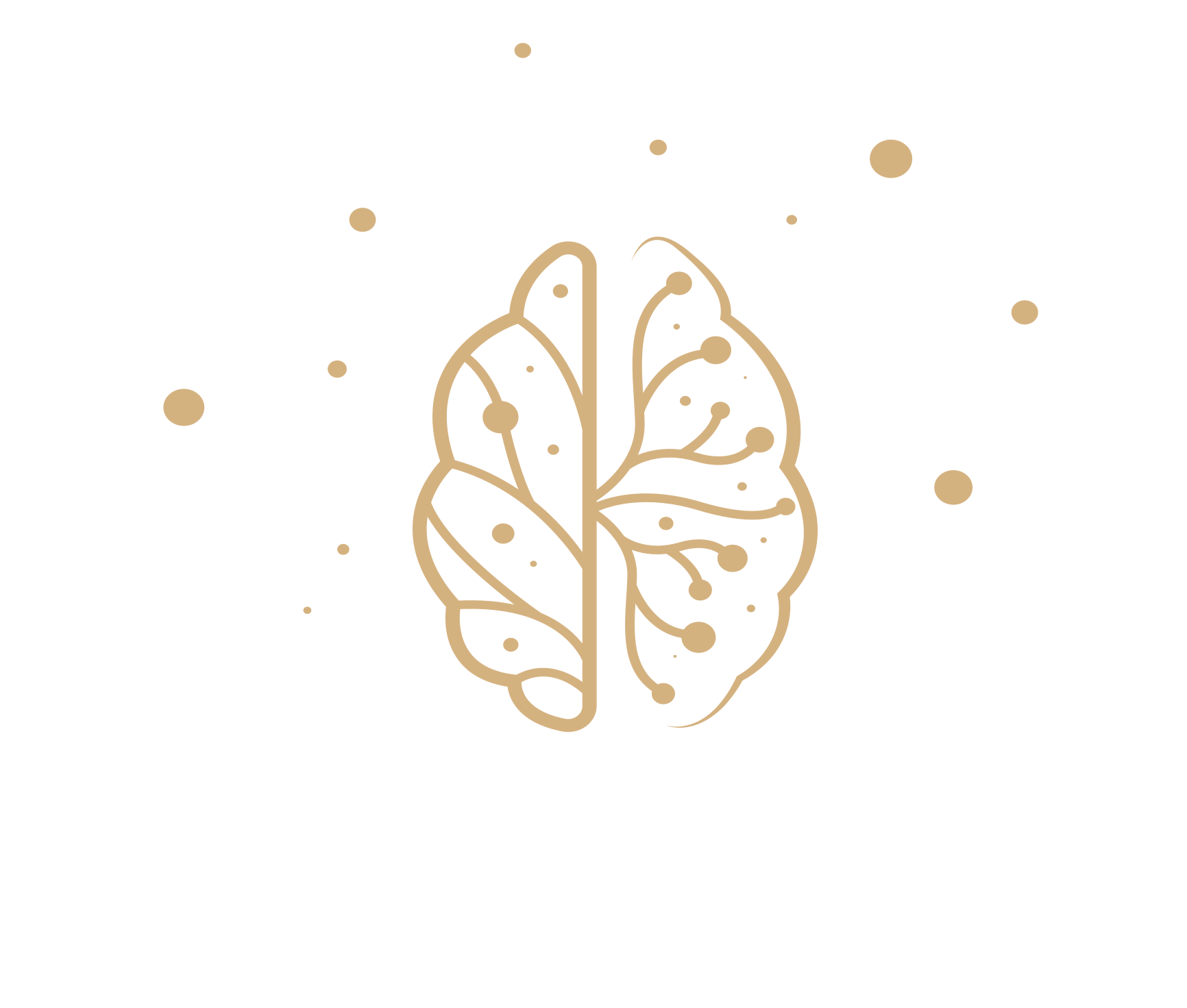 Cone Beam Ct Scan Imaging The Dental Sleep Centre